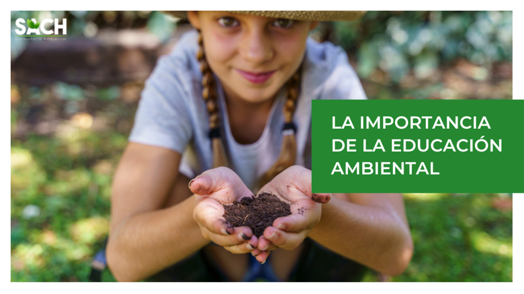 La importancia de la educación ambiental - SACH Consultoría Ambiental